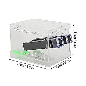 bizofft Cricket Keeper, Cricket Keeper with Tubes Safe and Non- for Office for Home(L)