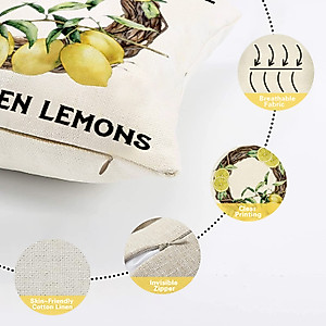 Softxpp Fresh Garden Lemons Wreath Decorative Farmhouse Throw Pillow Cover, Spring Summer Cushion Case Cotton Linen, Seasonal Home Decorations Square Outside Pillowcase Decor Sign for Sofa Couch 18x18