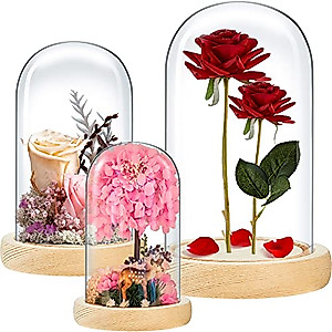 3 Pieces Cloche Glass Dome Glass Display Dome Cloche Jar Glass Cloche with Solid Wood Base for Rose Valentine's Day Decoration (Wood Color,4.7 x 8 In, 3.3 x 5.5 In, 2.9 x 4.6 In)