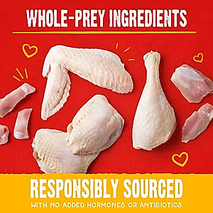 Stella & Chewy’s Freeze-Dried Raw Coated Dog Biscuits – Cage-Free Chicken Recipe – Protein Rich, Grain Free Dog & Puppy Treat – Great Snack for Training & Rewarding – 9 oz Bag