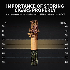 NEEDONE Humidor 23L with Cooling and Heating Temperature Control System, Electric Cooler for 150 Counts with Digital Hygrometer, Made with Spanish Cedar Wood, Gift for Men, 3 Layers