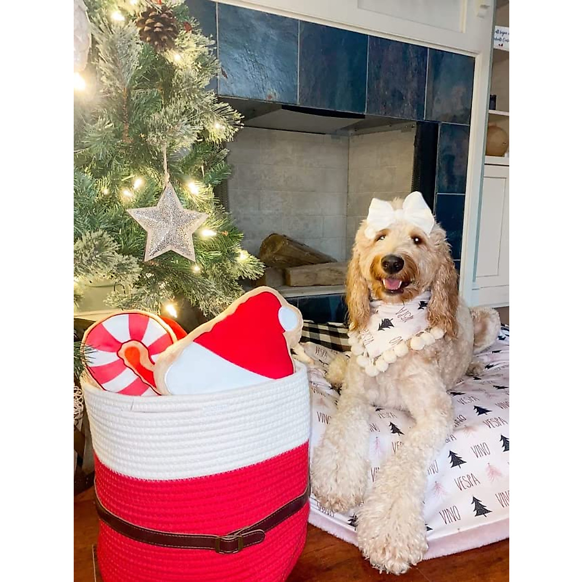 Midlee Santa Rope Basket (Large)