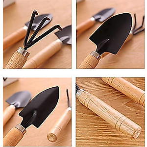 TPELKY Mini Garden Tools Set of 3 Mini Garden Tools Spade/Rake/Spade set of gardening tools