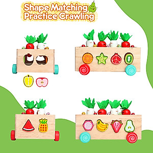 INSOON Montessori Toys for 1 2 3 4 Year Old Boy Girl,Wooden Educational Toy Multifunctional Orchard Car Toys Catching Worm Shape Sorting Carrot Harvest Learning Toys Gifts for Toddlers