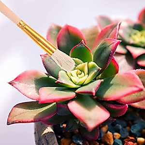 Yardwe 8pcs Pollination Brush Vegetable Pollinator Brush Round Paint Brush Pollen Sprayer Brush Garden Fruit Pollinator