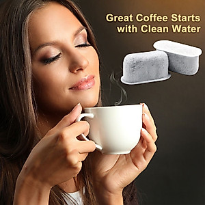 ADX 12-Replacement Charcoal Water Filters for Cuisinart Coffee Machines