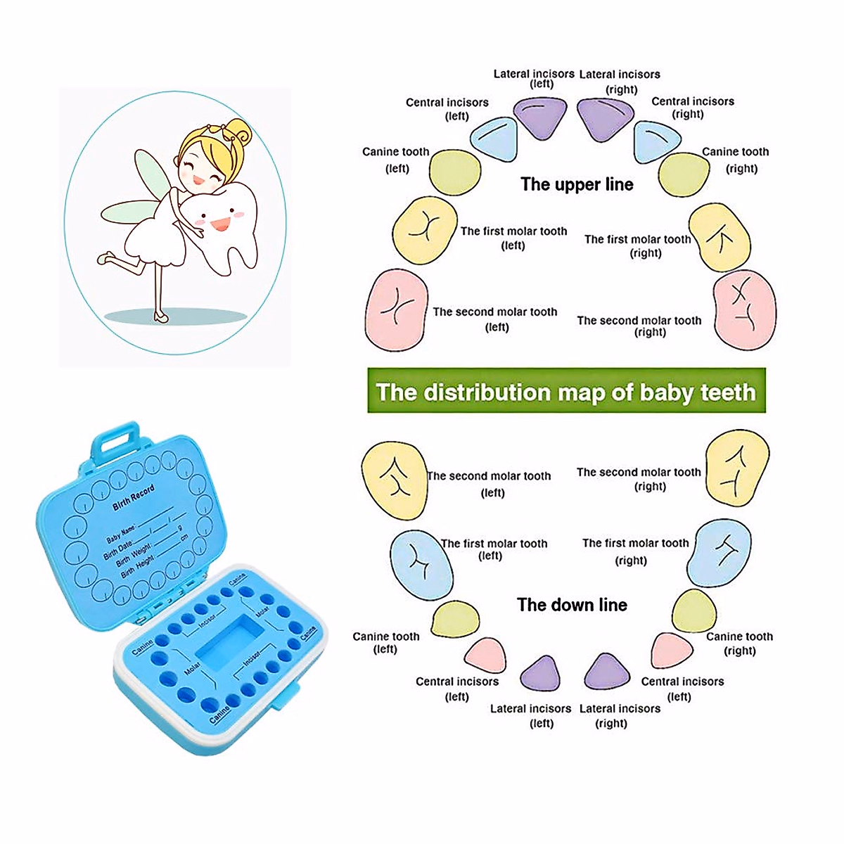 Baby Tooth Fairy Keepsake Box Kids Teeth Storage Box Tooth Holder Organizer with a Tweezers Kids Gift for Baby Shower Christmas Birthday Keep The Childhood Memory(Blue)