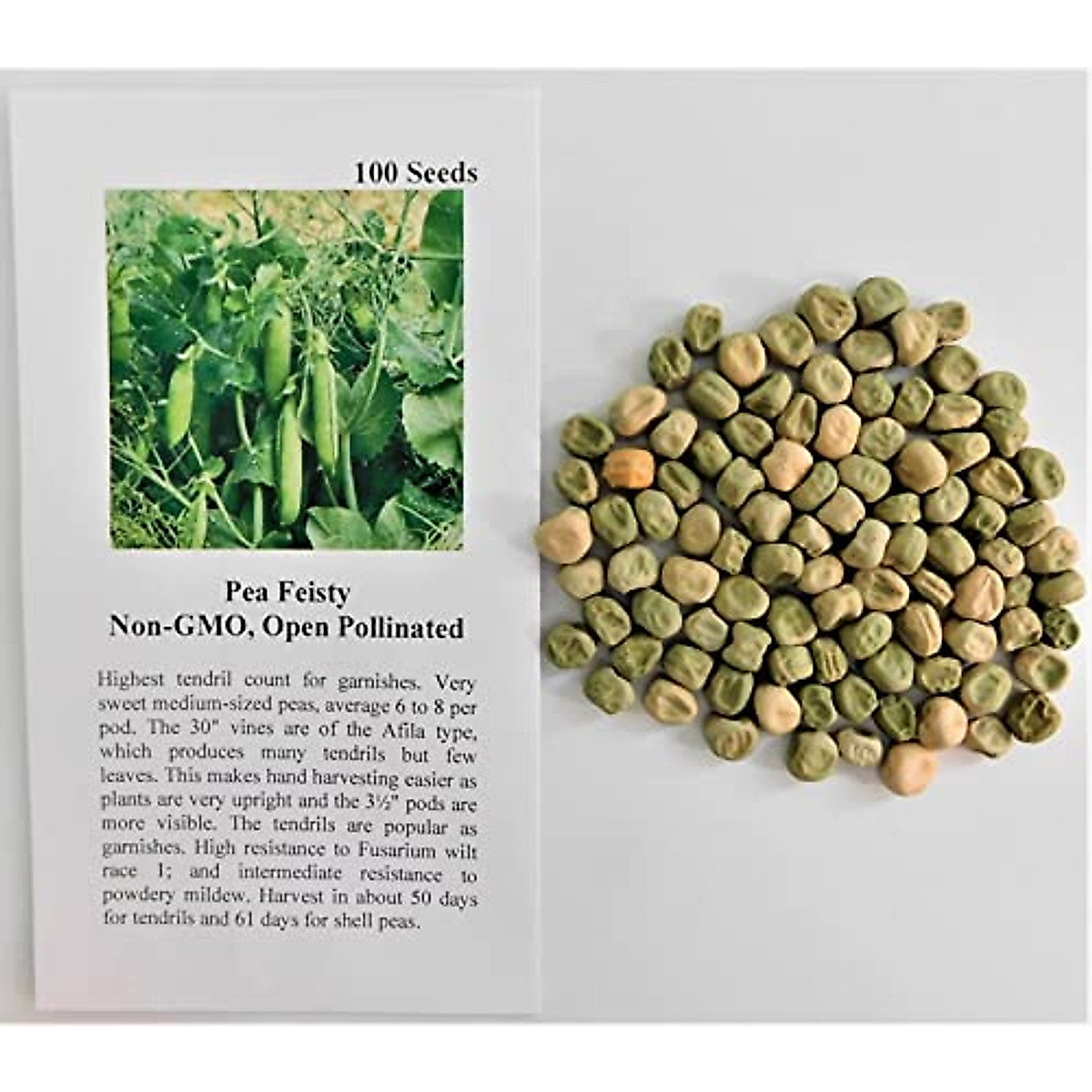 David's Garden Seeds Pea Snap Feisty FBA-2722 (Green) 100 Non-GMO, Open Pollinated Seeds