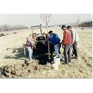 Soil Moist 100047000 JCD-012SM 3-Ounce Bag, Multicolor