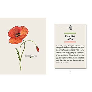 Flower Gardening for Beginners: A Guide to Growing and Maintaining a Cut-Flower Garden