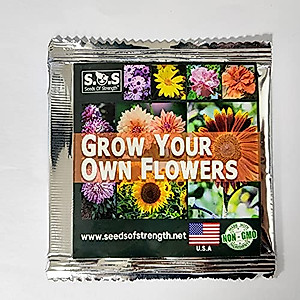 Seeds Of Strength 200+ Mixture Succulent Plants Seeds Bonsai Pot Flower for DIY Home Garden