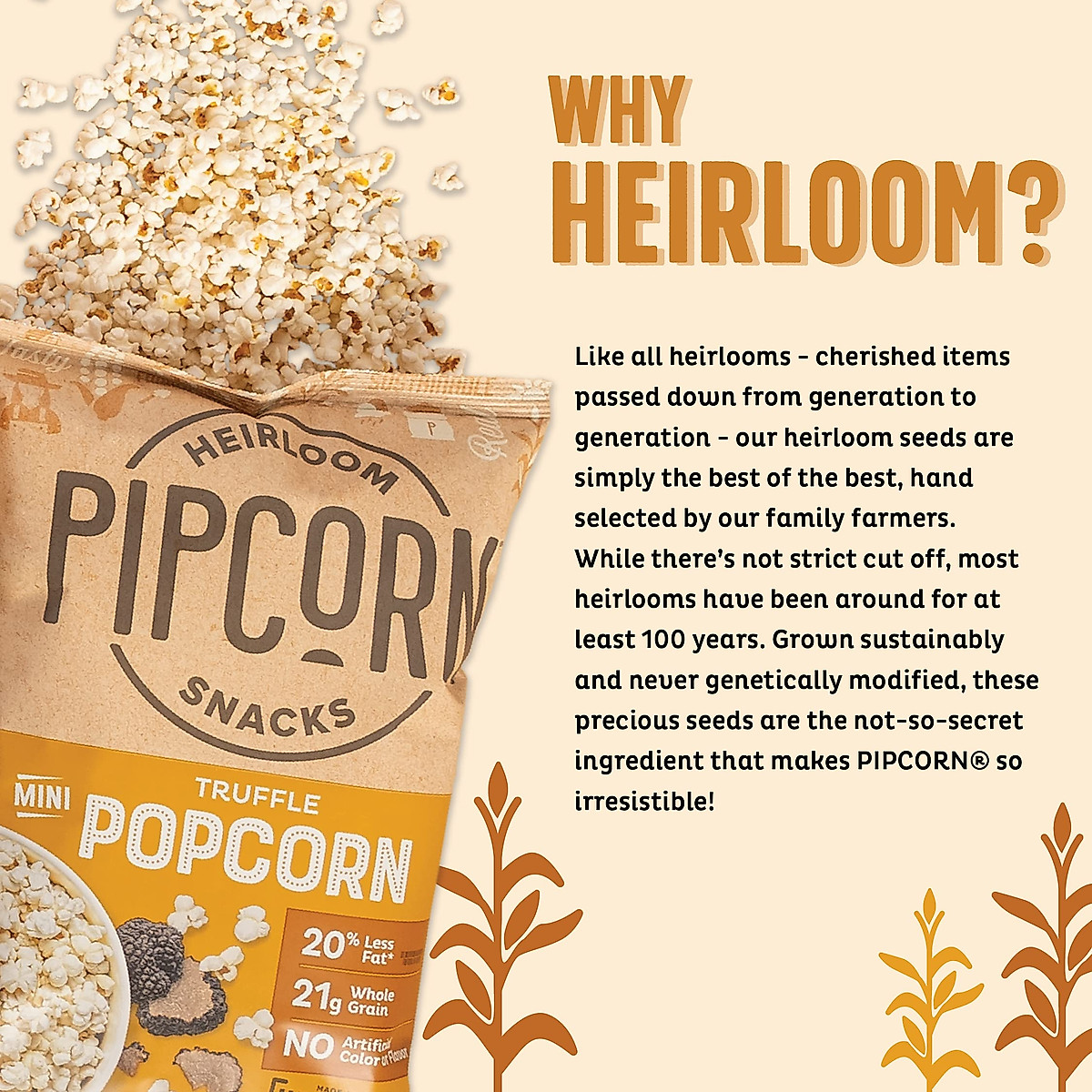 Heirloom Mini Popcorn Variety Pack by Pipcorn - Sea Salt and Truffle 4.5oz 6pk - Healthy Snacks, Gluten Free Snacks, Snack Variety Packs, Heirloom Corn, Salty Snacks, Black Truffle