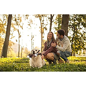 BODLYL Squeaky Plush Dog Toys Pack for Puppy, 2 Pack Durable Stuffed Animal Plush Chew Toys with Squeakers, Cute Soft Dog Toys for Teeth Cleaning, Interactive Dog Toys for Small, Medium Dogs (Set 2)