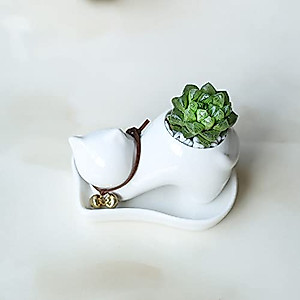 YONGYAN Cartoon Cat Flower Pot Statue Decoration Ceramics Garden Planters Containers Pot Bookshelf Office Desktop Decor