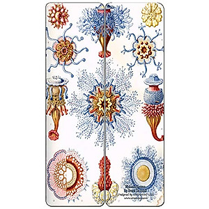 Creanoso Ernst Haeckel Bookmarks Series 2 (60-Pack) - Premium Quality Gift Ideas for Children, Teens, & Adults for All Occasions - Stocking Stuffers Party Favor & Giveaways