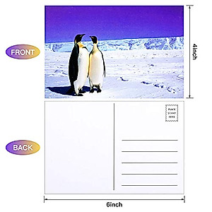 Outus 60 Pieces Wild Animal Postcards Animal Themed Blank Postcards Pandas Lions Polar Bears Penguins Elephants Giraffes Animal Greeting Postcards for Kids Teachers, 4 x 6Inches, 20 Styles