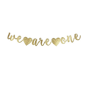 We are One Banner, Twins Baby Shower/1st Birthday Party Decorations Gold Gliter Paper Letters Sign