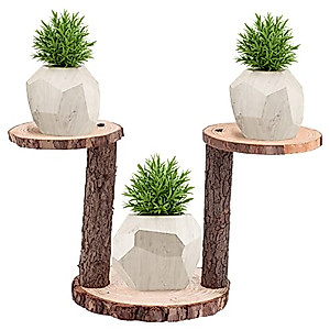 YARDWE Wood Cupcake Stand 3 Tier Tree Bark Server for Meats Cheeses Crackers Round Plant Stand Cake Display Riser Candle Holder Wedding Birthday Centerpiece Decor 12cm 17cm