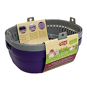 Living World Pet Carrier, Purple/Grey