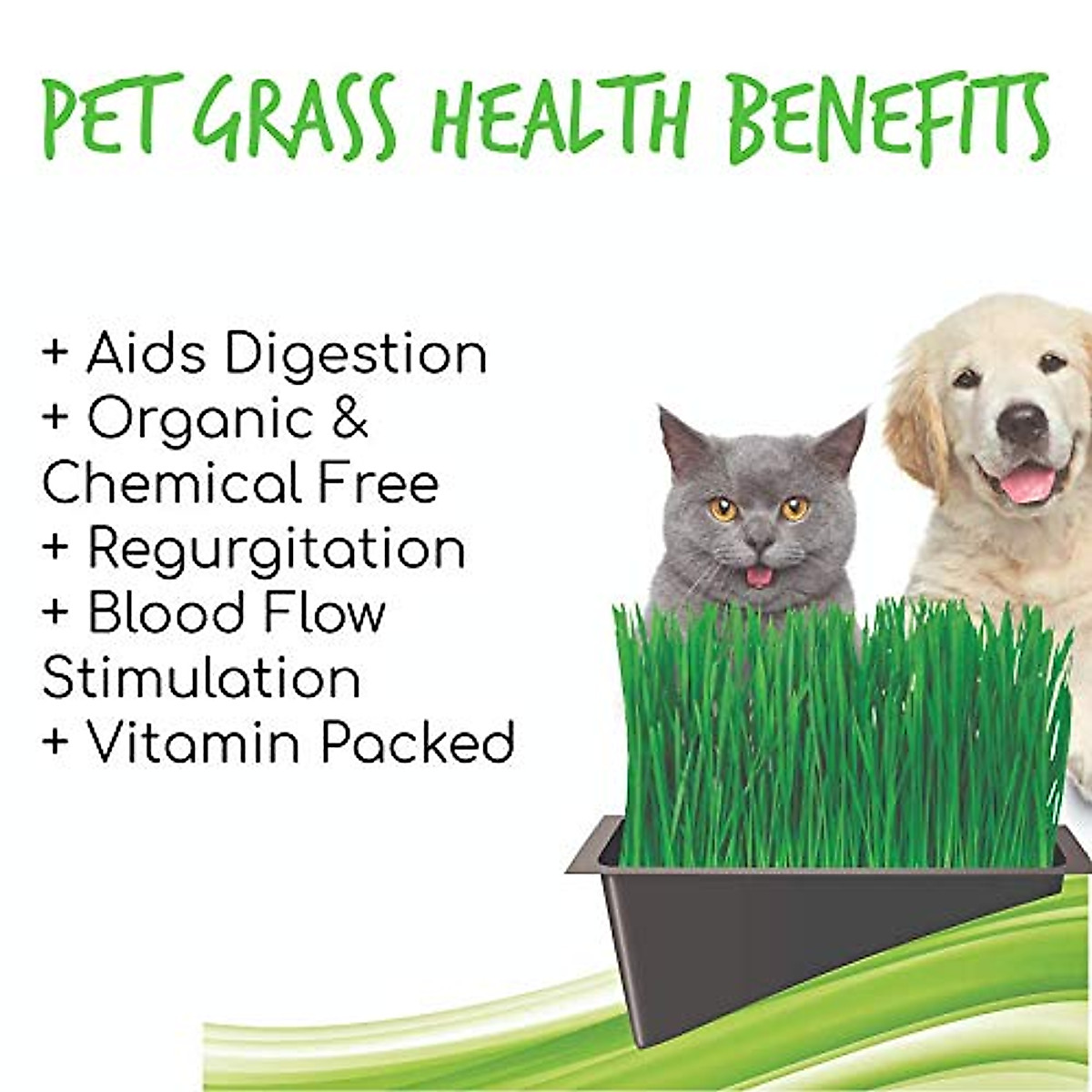 Organic Cat Grass Seed Blend for Planting - 12 oz. Handy Pantry Brand - A Healthy Mix of Organic Wheatgrass Seeds, Barley, Oats, and Rye Seeds - Non-GMO Wheatgrass Seeds for Pets