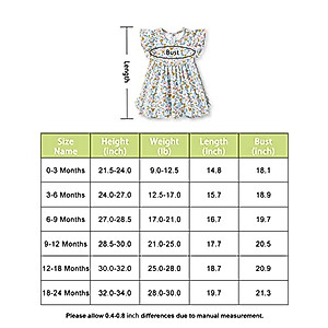 pureborn Baby Girls Ruffled Sleeve Dress Cotton Swing Dress Casual with Headband Bloomer 3-6 Months Floral Blue