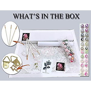 Art Knitting Paint by Number for Adults Beginner Students Kids, Ideal Gift Choice for Birthday,Anniversary or Any Festival, DIY Acrylic for Room Decor Canvas Roll -16x16 (Skull and Roses)