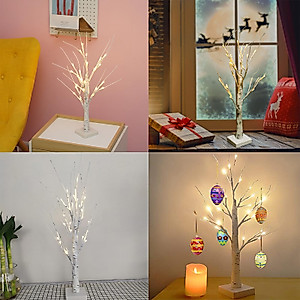 Albelt 2FT Lighted Birch Tree for Tabletop, Beautiful Christmas Tree with Lights, 24 LEDs Warm White Birch Tree Light for Christmas Decorations Indoor Bedroom Home Wedding Holiday Thanksgiving Gifts…