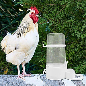 balacoo 2Pcs Automatic Bird Feeder Bird Water Bottle Poultry Drinker Water Jug Container Food Dispenser for Chickens Birds Pigeon Quail White