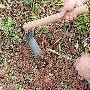 cdbz Hoe Garden Tool for Yard Heavy Duty Weed Removal Tool for loosening Soil, Weeding and Digging,15in Forged Hoe Stainless Steel Blade Head Wooden