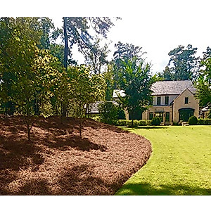 USA Pine Straw - Premium Pine Needle Mulch - Covers 300 Sqft (1)