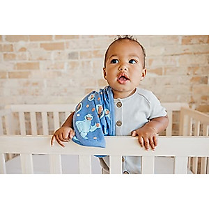 Copper Pearl Baby Security Blanket Set of 2 - Portable Size for Self-Soothing On-The-Go, Ideal Baby Blankets for Boys and Girls, Ultra-Soft, and Gift-Ready Loveys - Cookie Monster