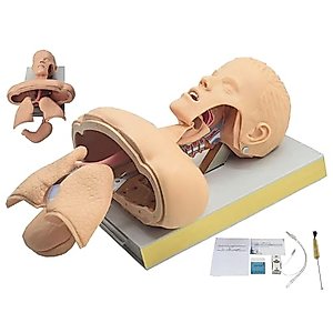 Oral Nasal Intubation Manikin, Advanced Human Tracheal Intubation Training Model Airway Management Practice Mold Teaching Instrument Demonstration Anatomical Structure