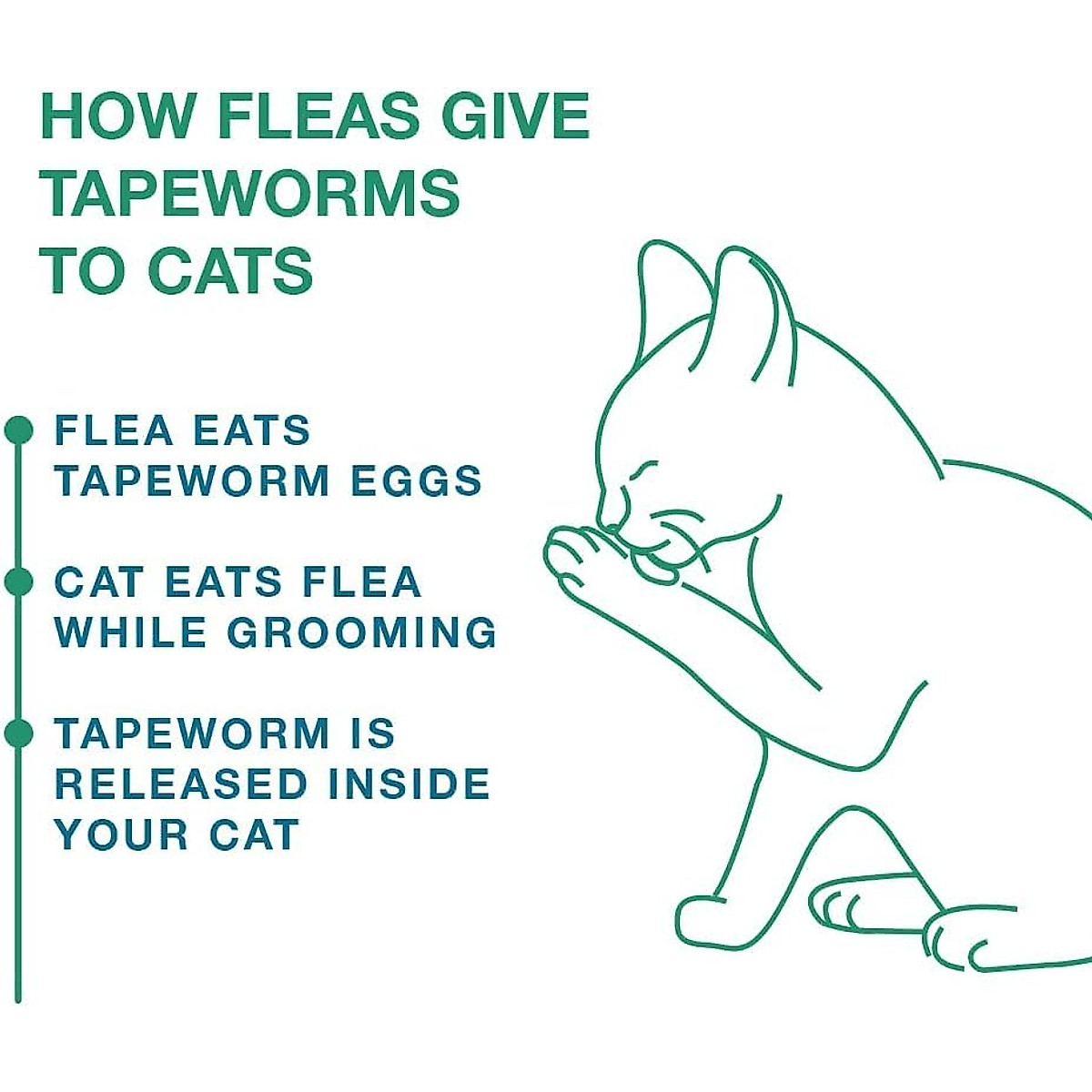 Bayer Expert Care Tapeworm Dewormer for Cats and Kittens