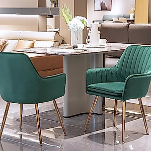 Purgreen Velvet Dining Chair Set of 2 - Modern Mid-Back Accent Chair with Gold Plating Legs - Upholstered Living Room Chair (Velvet Green, Set of 2)