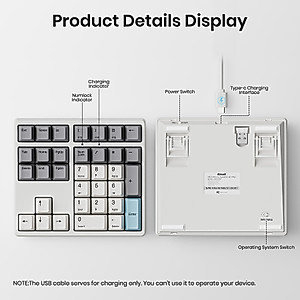 Kisnt Wireless Number Pad, 34 Key 2.4GHz Rechargeable Mechanical Numpad,Gateron Red Switches Hot Swappable Numeric Keypad with PBT Keycaps for Laptop, Mac, PC Desktop
