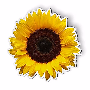 AK Wall Art Sunflower - Magnet - Car Fridge Locker - Select Size
