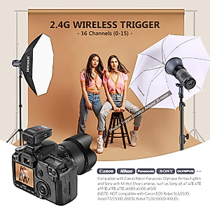 Neewer ML300 300W Outdoor Studio Flash Strobe Li-ion Battery-Powered Monolight with 2.4GHz Wireless Trigger, 1000 Full Power Flashes, 0.4-2.5s Recycle Time, Bowens Mount, 2-Pack Li-on Battery