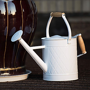HORTICAN 1 Gallon Watering Can with Wooden Handles, White Metal Can with Removable Spout, Perfect for Indoor and Outdoor Plants