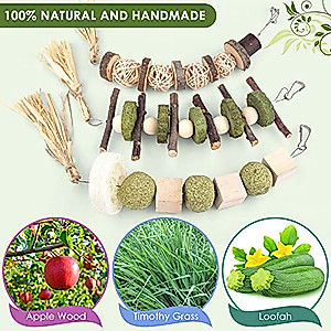 Bissap 3PCS Bunny Chew Toys, Natural Hanging Rabbit Chew Toy Treats for Guinea Pigs Hamsters Gerbils Chinchilla and Other Small Pets for Teeth Grinding