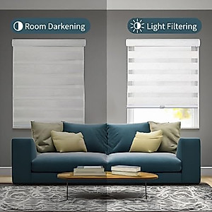 CHICOLOGY Zebra Roller Shade, 23"W X 72"H, Polyester Blend, Cordless, Basic Natural