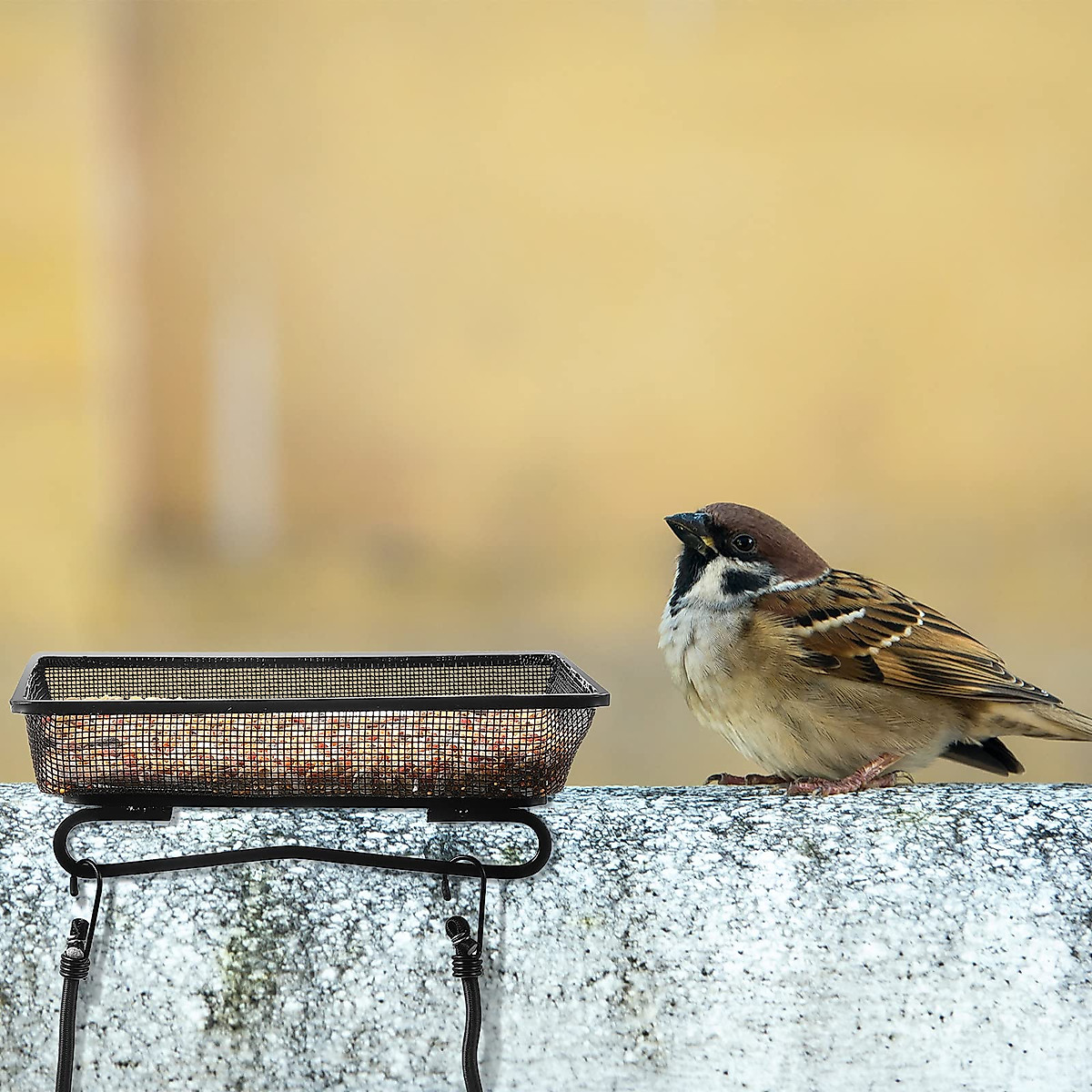 2 Pieces 7 x 7 x 2.7 Inch Metal Ground Bird Feeder Compact Platform Bird Seed Tray and 4 Pieces Elastic Rope for Outdoor Dove Birds or Squirrels Garden Decoration (Black)