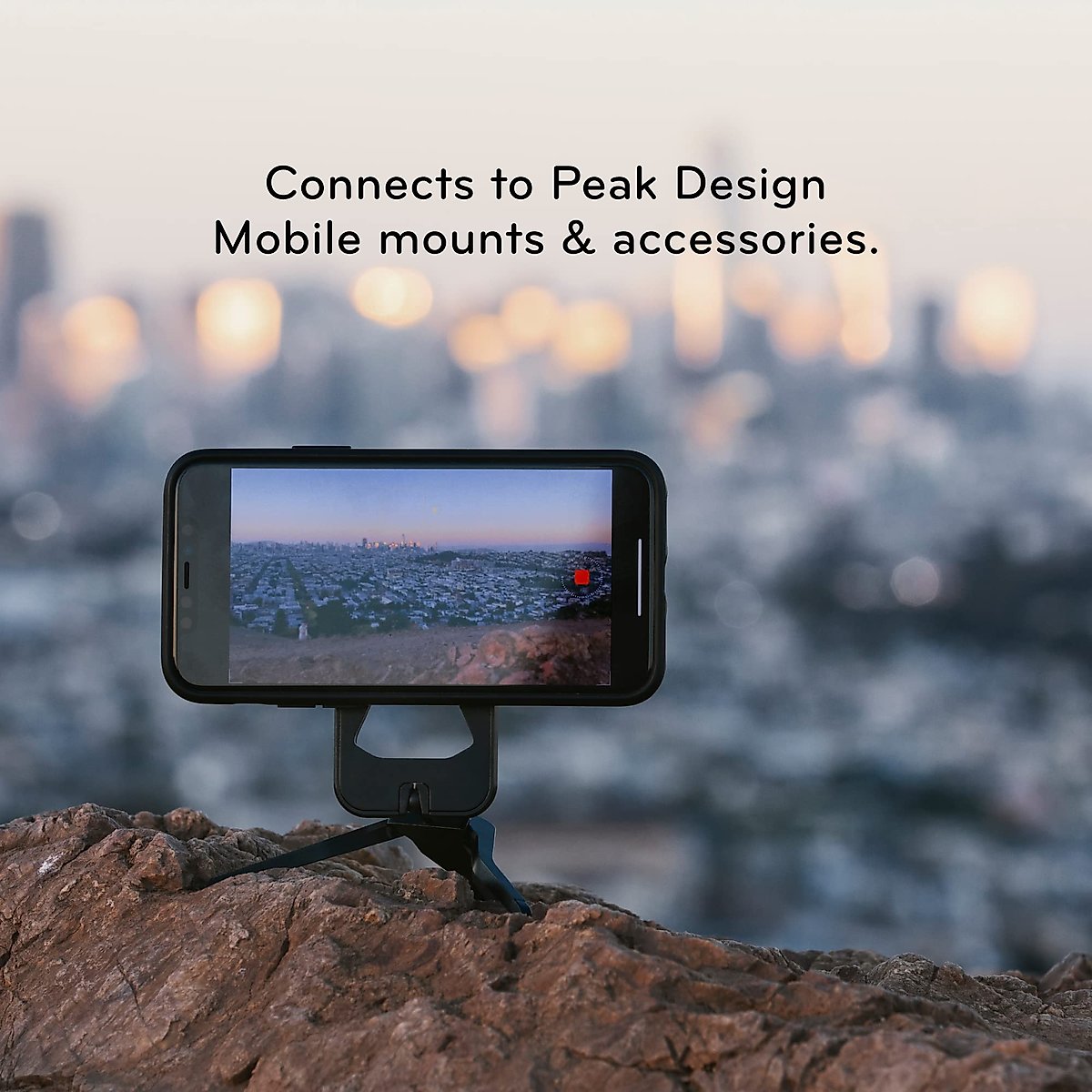 Peak Design Everyday Loop Case iPhone 12 Pro Max