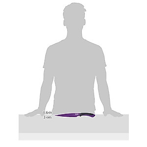 Tovolo Comfort Grip Stainless Steel Slicing Knife for Fish, Pork, Poultry, 8.5 Inches