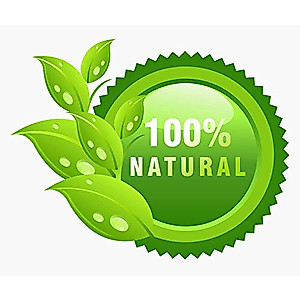 Elantha Vadai Seedless/Jujube / 10 Big Packets