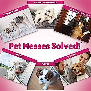 OUT! Pet Care Disposable Female Dog Diapers - Absorbent with Leak Proof Fit - XS/Small (Waist 13-18in) - 16 Count