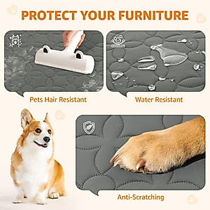 LOOBANI Waterproof Blanket Couch Cover for Dogs - Pet Blanket for Furniture Bed Couch Sofa Covers Protector Washable Reversible (Dark Gray+Light Gray,68'' x 82'',2 Pack)