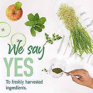 Garden of Life Super Greens Powder Smoothie & Mix, Probiotics & Digestive Enzymes for Digestive Health, Organic Superfoods Nutrition Fruit and Vegetables for Women & Men Energy, Original, 60 Servings