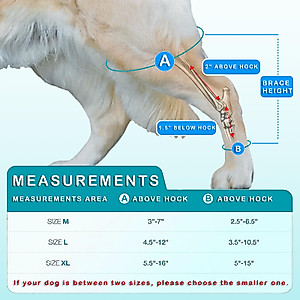 PaaWings 2024 Dog Leg Braces Dog Knee Brace for Back Leg- Dog Hip Brace for Torn Acl and Joint Relief -Dog Leg Sleeve - Dog Back Leg Support and Joint Supplement Black (XL)