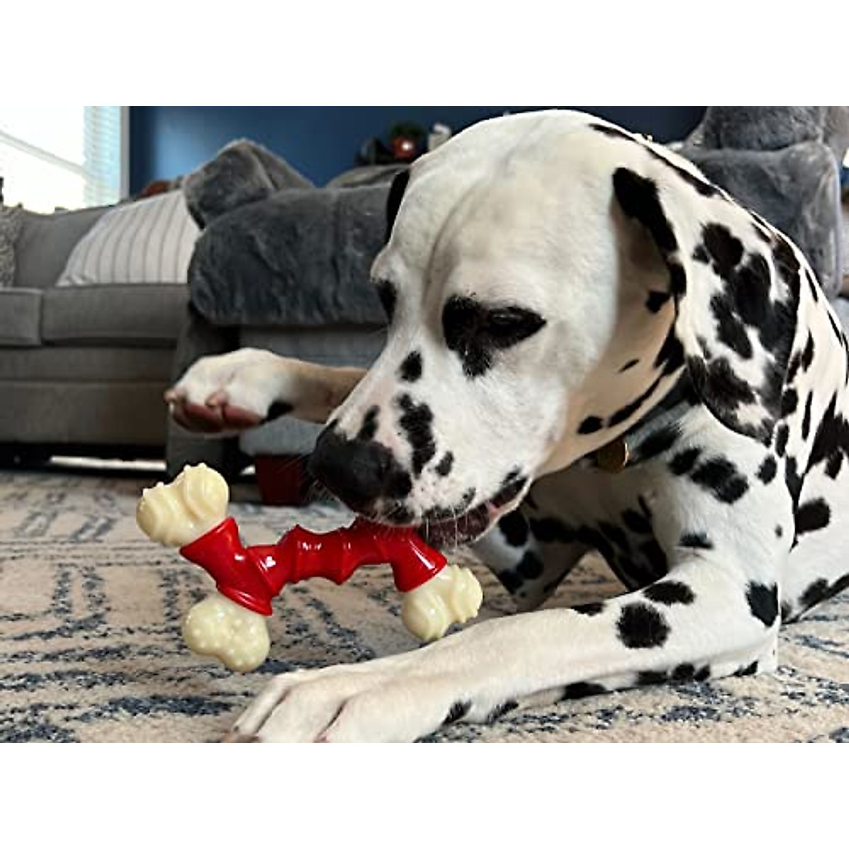 Nylabone Power Chew Double Bone Long Lasting Chew Toy for Dogs Medium - Up to 30 lbs.