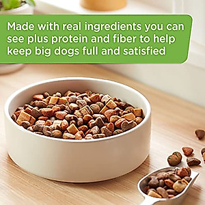 Rachael Ray Nutrish Big Life Dry Dog Food, Savory Chicken, Barley & Veggies, 40 Pounds